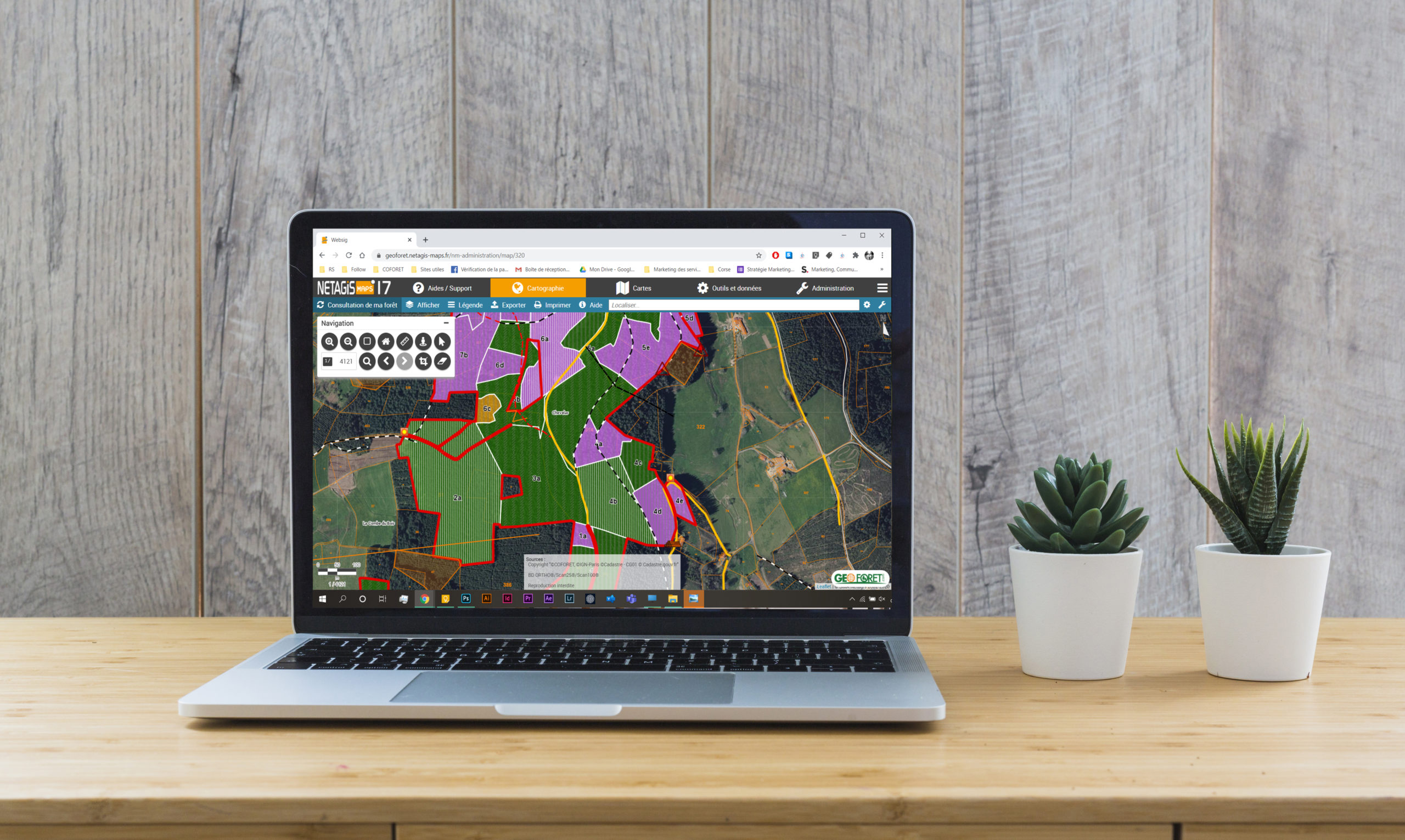 Les documents de gestion durable - COFORET